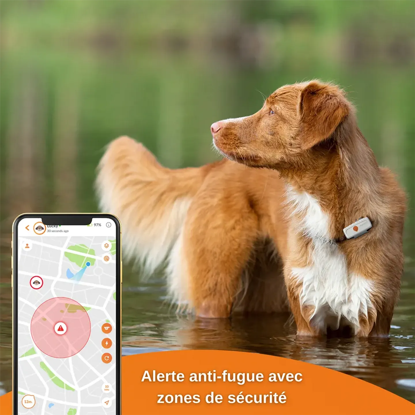 Weenect Collier GPS pour chiens - XS Dogs - Blanc | Livré demain - Krëfel
